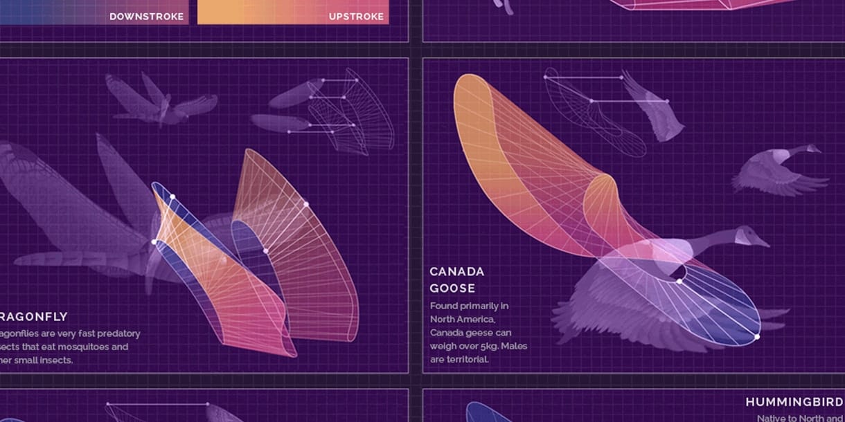 Eleanor Lutz e a sutileza em animar infográficos | Layer Lemonade