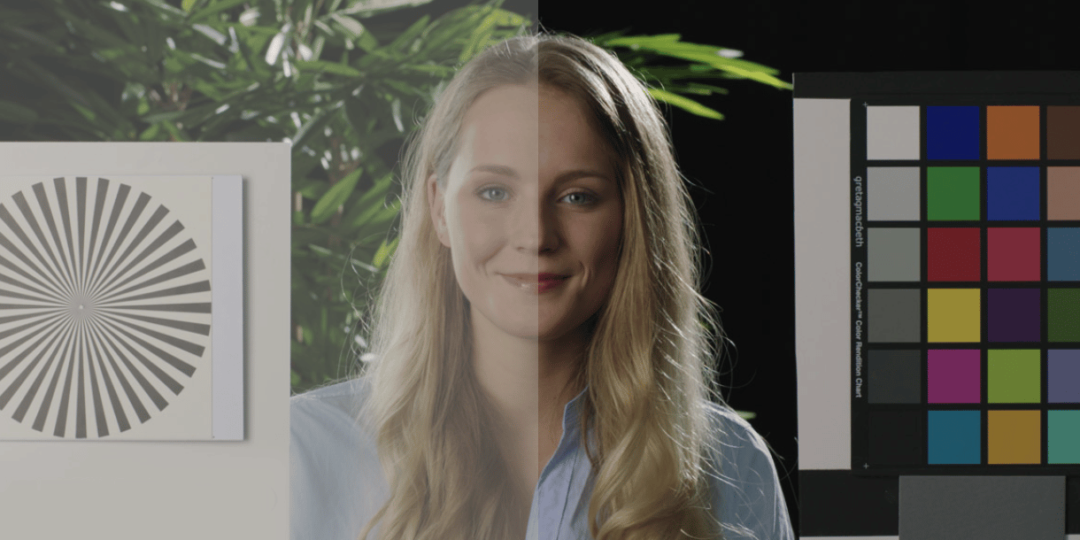 As diferenças entre 1D-LUT e 3D-LUT - Layer Lemonade