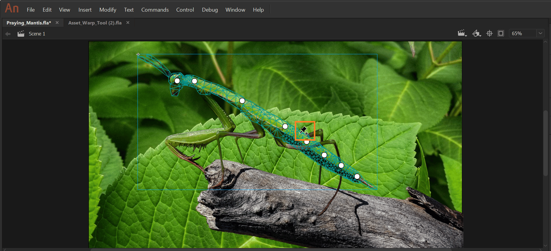 Adobe anuncia o lançamento do Animate CC 2019 - Layer Lemonade
